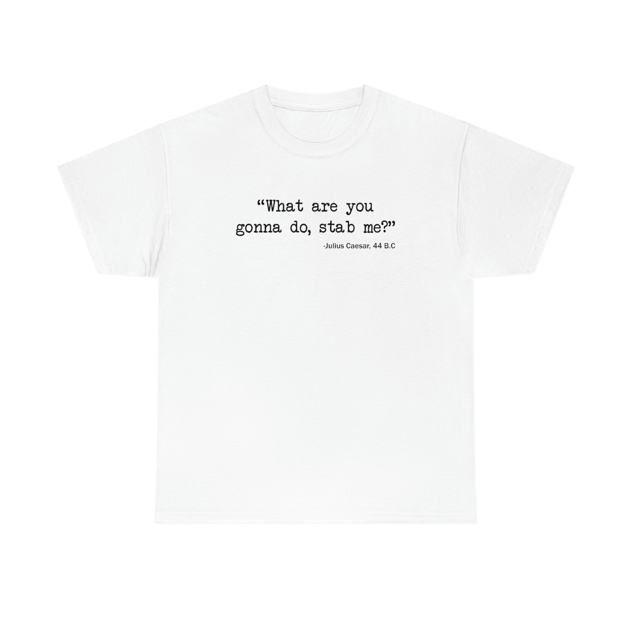 What Are You Gonna Do, Stab Me? - Julius Caesar, 44 BC Meme Shirt - ID ...