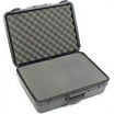 Plastic Protective Storage Cases with Pinch Tear Foam 19""x14""x6 ...