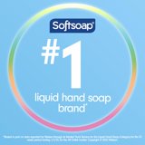 Softsoap Clean & Protect Antibacterial Liquid Hand Soap, Cool Splash ...