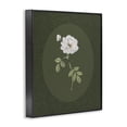 Stupell Industries White Rose on Emerald Black Framed Giclee Art ...