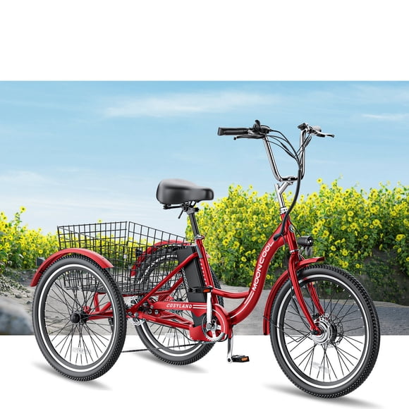 Folding Adult Electric Tricycle
