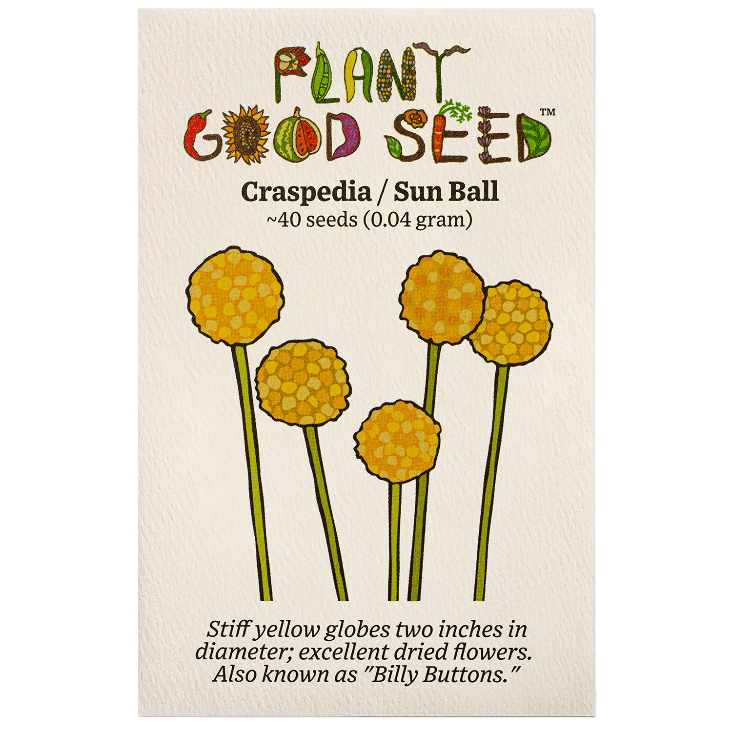 Craspedia Flower / Billy Buttons Seeds - Walmart.com