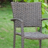 International Caravan Ibiza Resin Pandan/Aluminum Square Back Dining ...