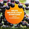 Zicam Cold Remedy Zinc RapidMelts, Elderberry Citrus, Homeopathic Cold ...