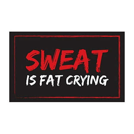 Fitnus Chart Series Sweat is Fat Crying Inspirational Poster 18" X 24 ...