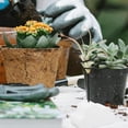 Phenofice White Cement Tabletop Air Plant Holder Stand Creative Storage ...
