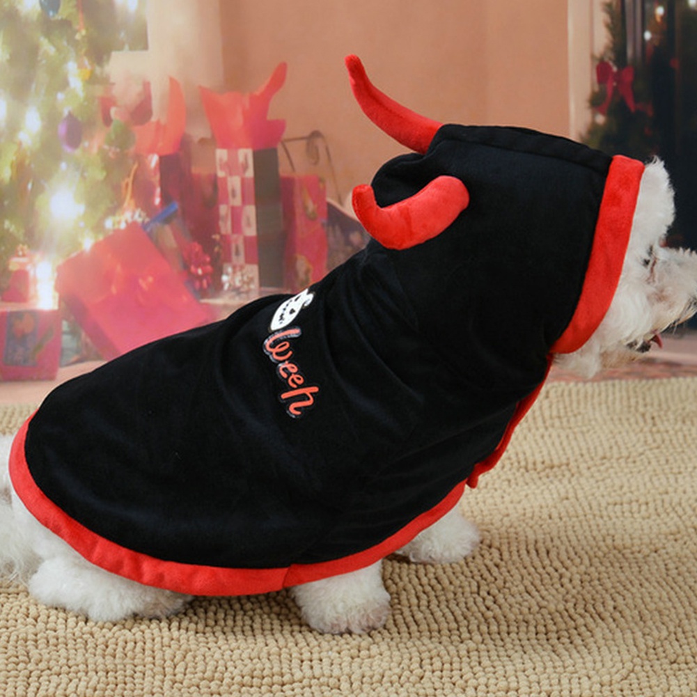 What Is Devil Dog Day