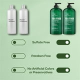 Botanic Hearth Tea Tree Shampoo and Conditioner Set, 100% Pure Tea Tree ...