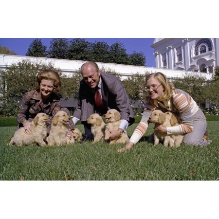 President Gerald Ford History (24 x 18) | Walmart Canada