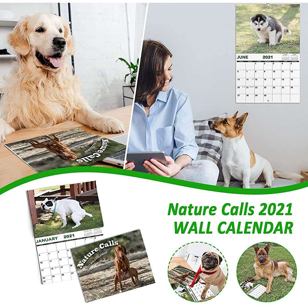 ALmi 2021 Calendar Funny Pooping Dogs Wall Calendars,12-Month Schedule ...