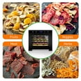 Electric Countertop Food Dehydrator Machine - 600-Watt Premium Multi ...