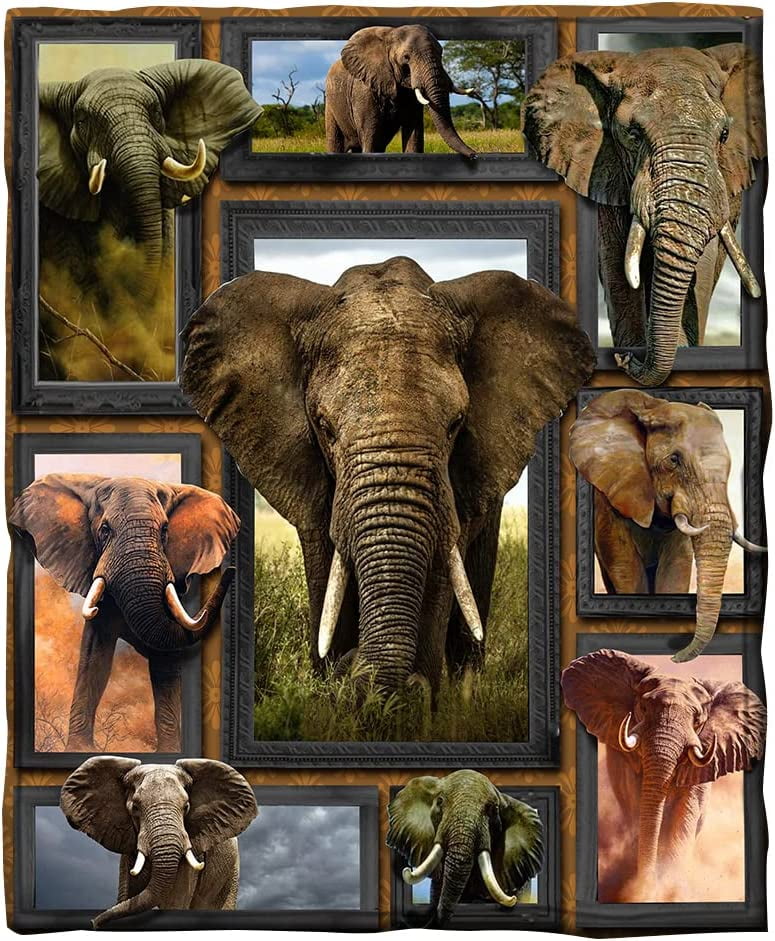 Elephant Blanket - Soft Comfy Flannel Plush Sofa Bed Couch Throw ...