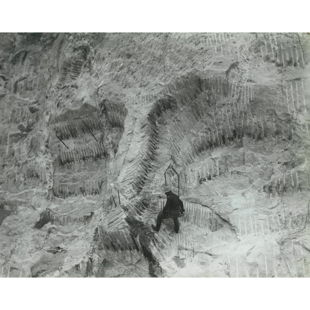 Rough Form Of Mount Rushmore Head History (36 x 24) - Walmart.ca