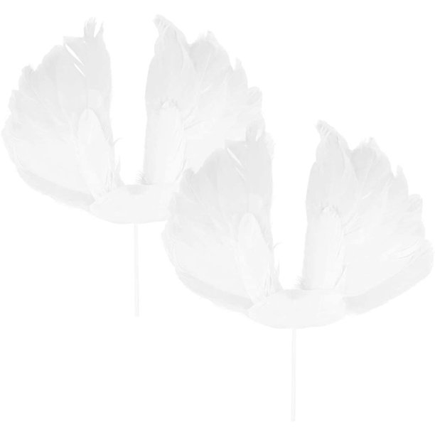 HTOOQ 2pcs Angel Feather Wings Cake Toppers Party Cake Decorations ...