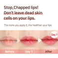 Natural Tinted Lip Balm Sold 4 Million Units in South Korea | Lux ...
