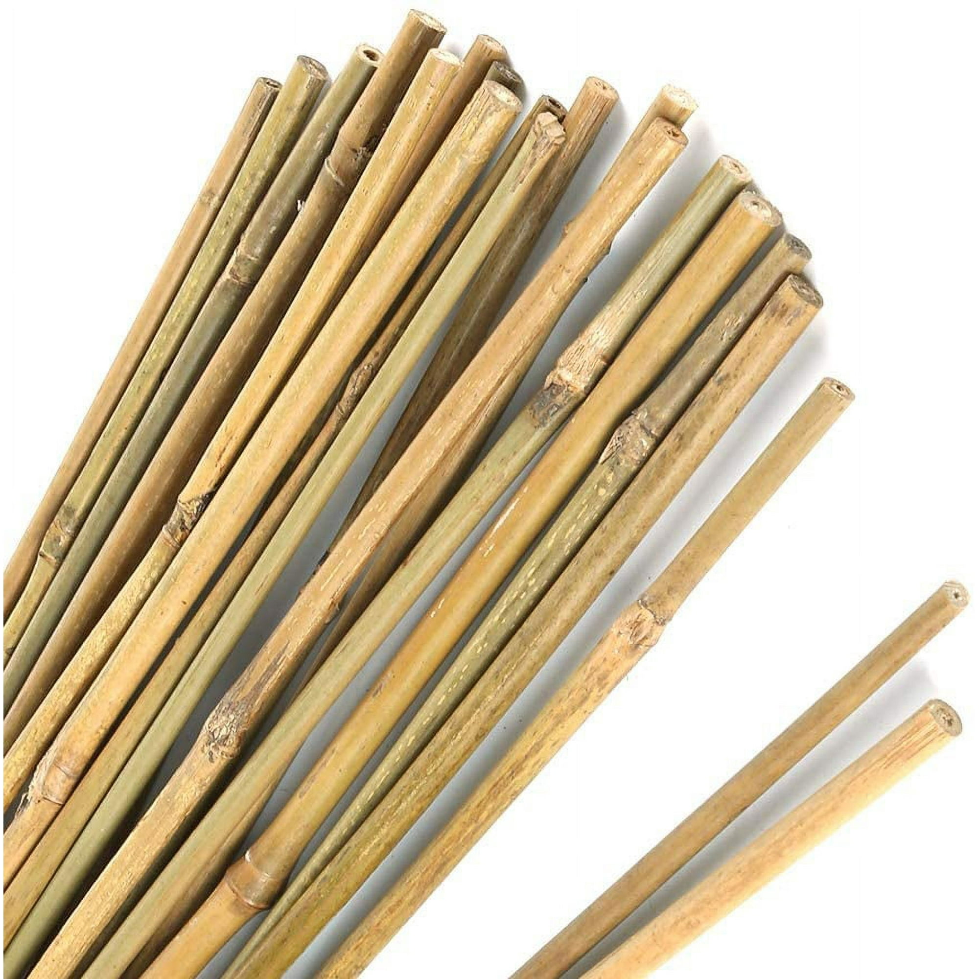 Click here for Oruyrop 20pc 1.33/16 Inch Natural Plant Stakes Gar... prices