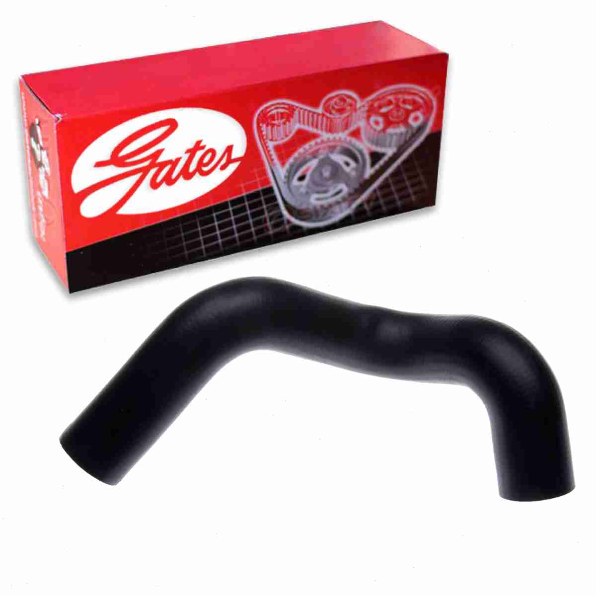 Gates Lower Radiator Coolant Hose compatible with Ford Ranger 2.9L 4.0L ...
