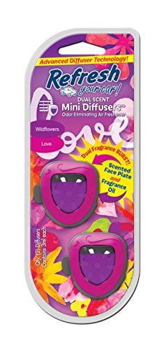 Refresh Vent Clip Mini Diffusers Car Air Freshener, Wildflowers and ...