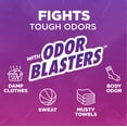 Odor Blasters In-Wash Laundry Scent Booster, Eliminates Tough Odors ...