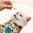 Cat Grooming Wrap, Self Adherent Calming Restraint Wrap for Nail ...