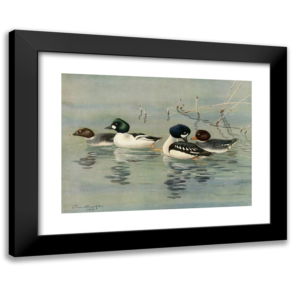 Allan Brooks 18x14 Black Modern Framed Museum Art Print Titled - Golden ...