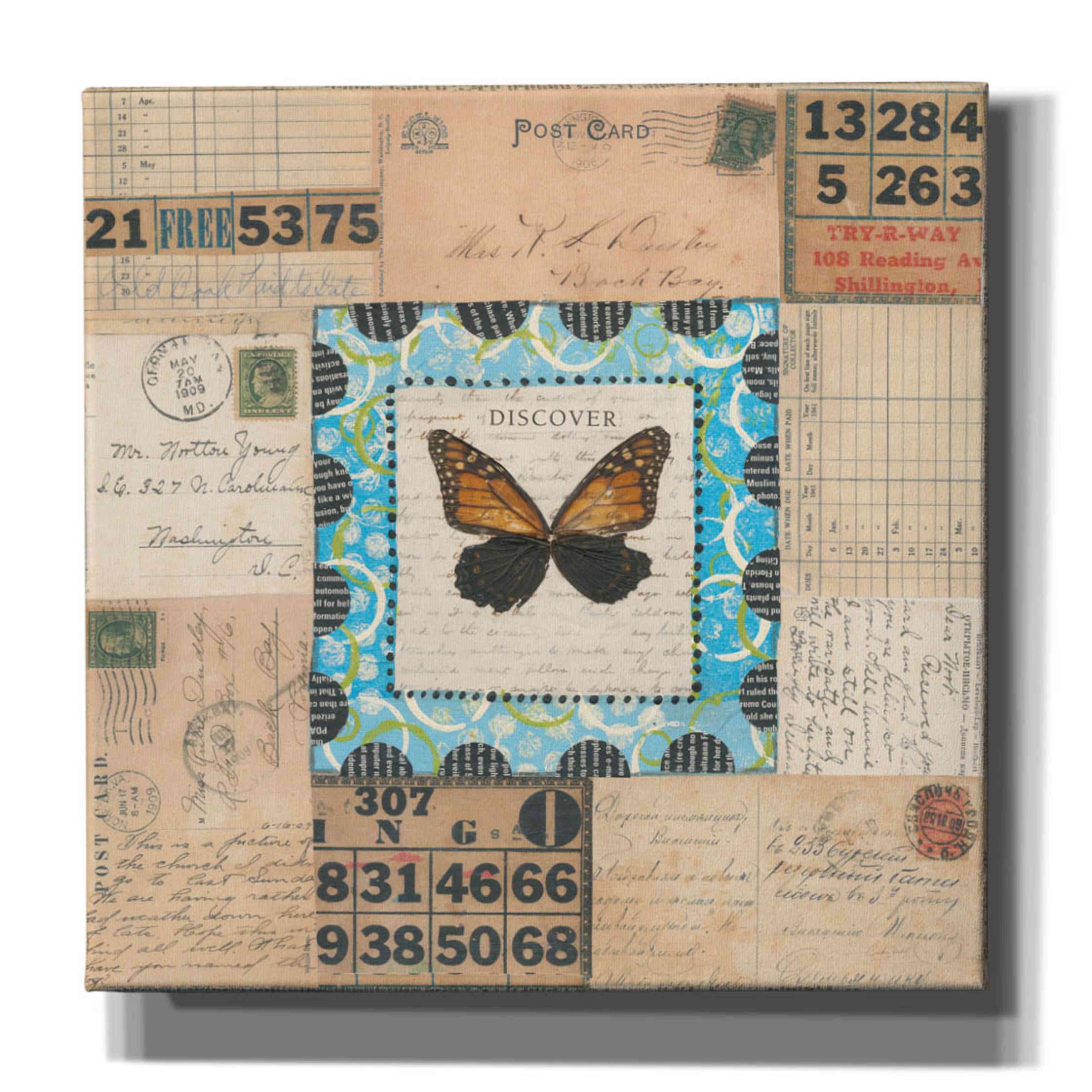 Epic Graffiti 'Discover Butterfly by Courtney Prahl, Canvas Wall Art ...