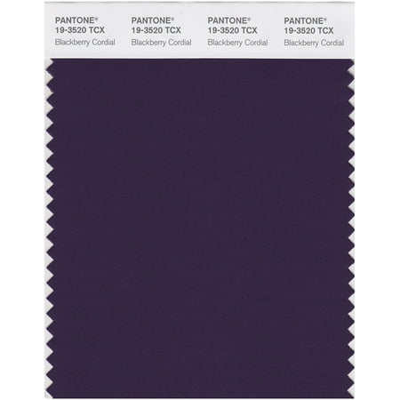 PANTONE SMART 19-3520X Color Swatch Card, Blackberry Cordial | Walmart ...