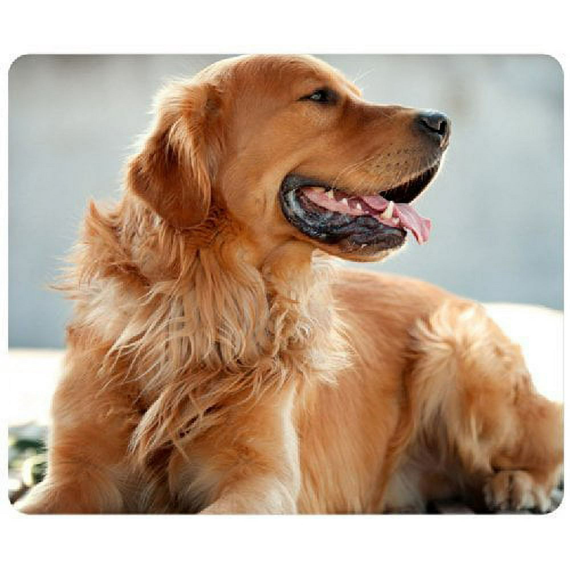 Click here for Erehome Golden Retrievers Mouse Pads Gaming Mouse... prices