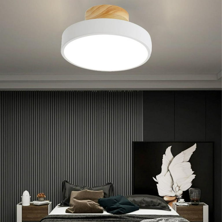 Half Circular Ceiling Light | Shelly Lighting
