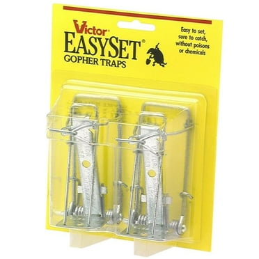 GopherHawk Single Trap for Gophers and Moles, 1 GH-TRP, 20" X 1.5 ...