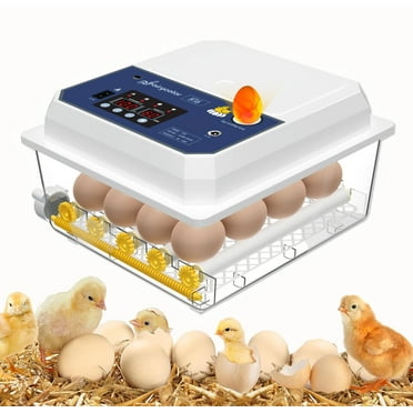 HovaBator 2370 Egg Incubator Deluxe Combo Kit, Electronic Thermostat ...