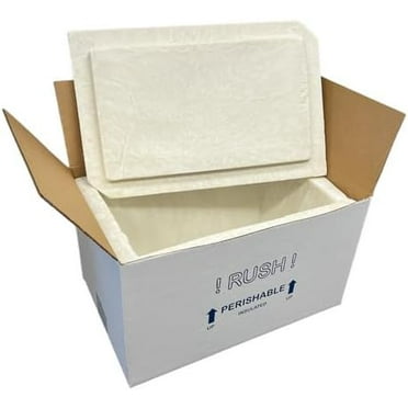 Polar Tech Thermo Chill Insulated Small Carton and Foam Shipper, 6"x5 ...