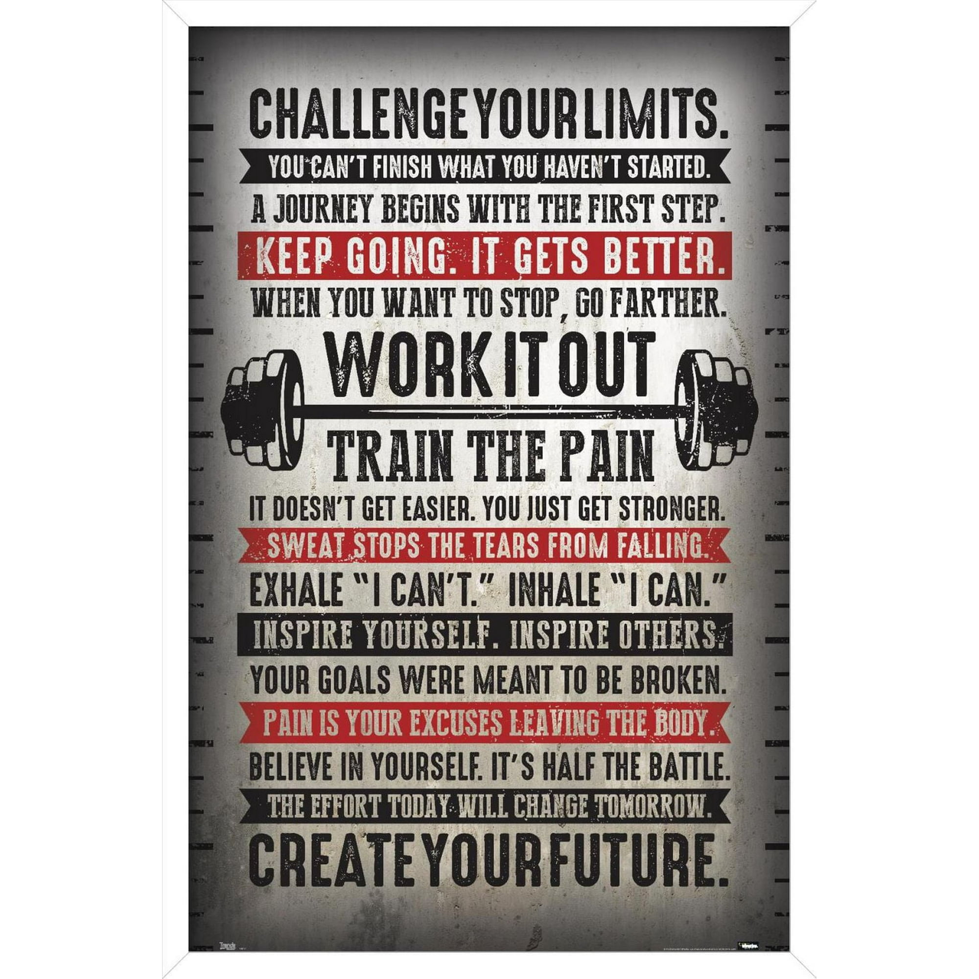 Click here for Trends International Challenge Your Limits Wall Po... prices