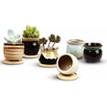 2.1 Inch Succulent Pot with Drainage,Planting/Flower Pots,Small Planter ...