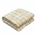 Brushed Check Tan Green Reversible Velvet and Sherpa Throw Blanket ...