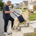 Adjustable Dog Lift Harness, Portable Hind Leg Support for Senior Dogs ...
