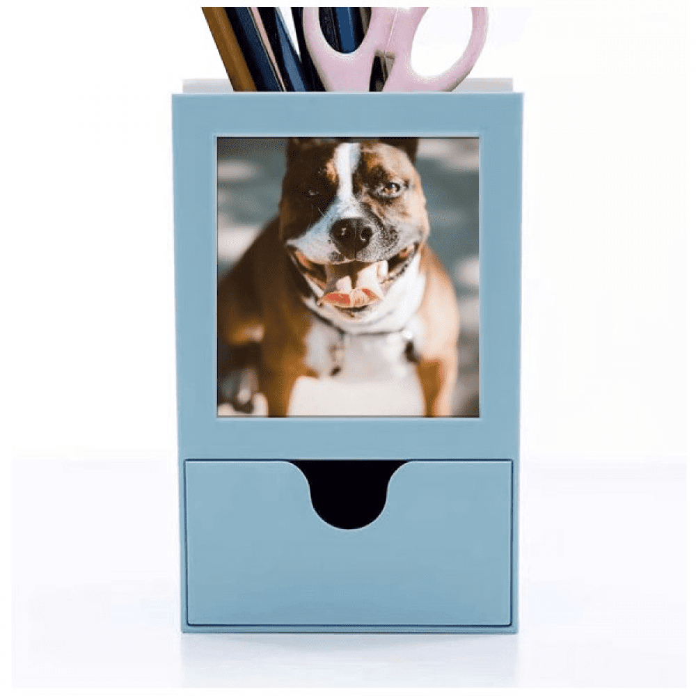 Bulldog Pet Animal Frightful Picture Desk Supplies Organizer Pen Holder ...