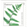 USPS First-Class Forever Ferns Postal Stamps - 2 Strips of 10 Fern ...