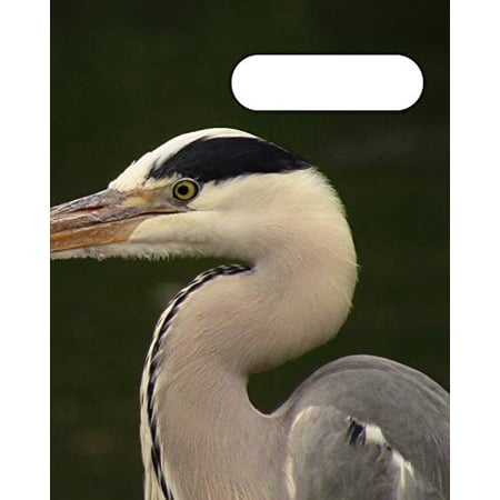Birds | Walmart Canada