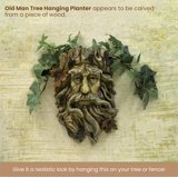 Bits and Pieces Old Man Tree Hanging Planters Sculpture Garden Peeker ...
