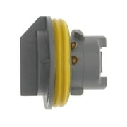 Toyota Tacoma Side Marker Light Socket