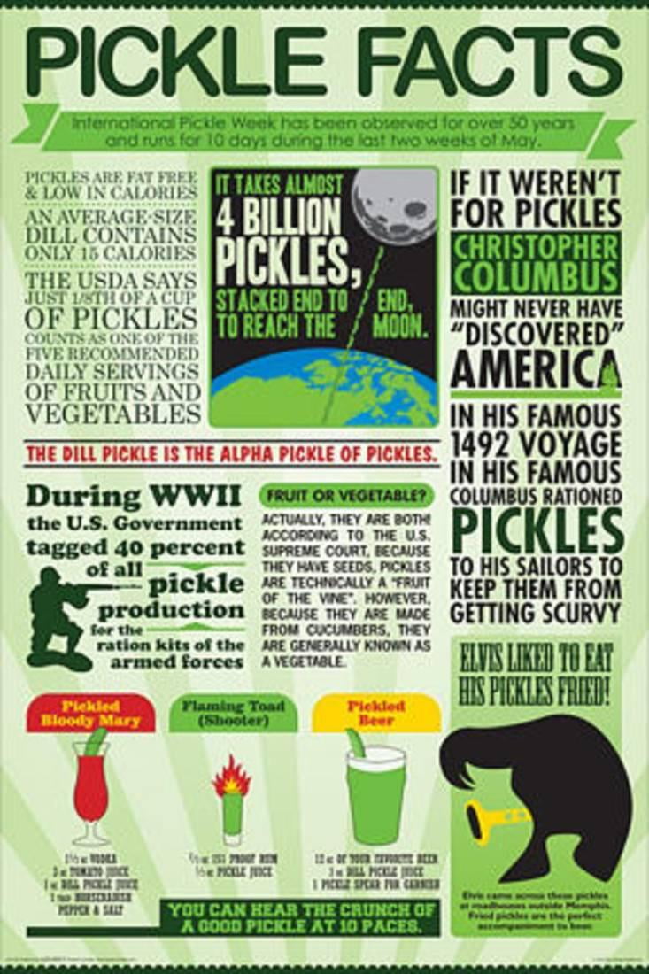 Pickle Facts Chart Poster 24x36 Walmart pickle-facts-chart-poster-24x36-walmart