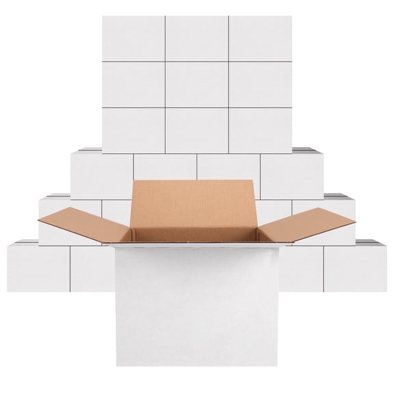 EcoQuality 10x10 Inch Kraft Recyclable Corrugated Cardboard Pizza ...