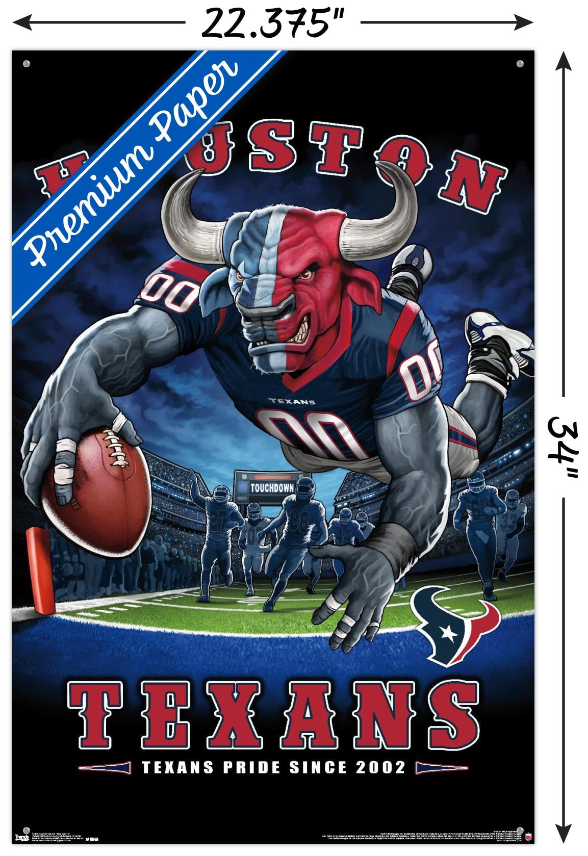 Houston Texans Posters