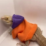 Bearded Dragon Clothes Costume Accessories Apparel Clothing Hand-made ...