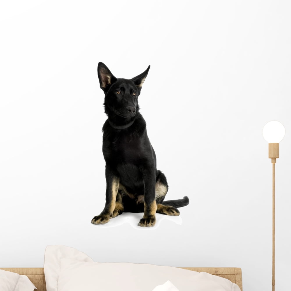 Juvenile German Shepherd Wall Decal by Wallmonkeys Peel and Stick ...