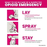 NARCAN Nasal Spray 4 mg, Emergency Treatment of Opioid Overdose, 2 ...