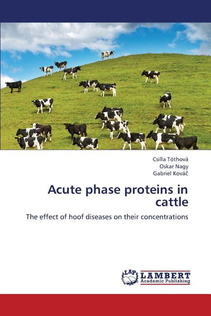 Chaperone proteins in mad cow disease - dollartery