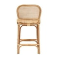 bali & pari Adrena Rattan BOHO Counter Stool, Natural Brown - Walmart.com