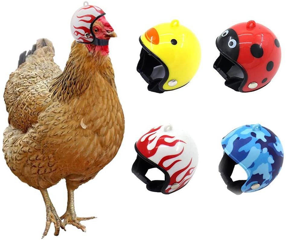 4 Pcs Chicken Helmet, Plastic Bird Head Protection Cap Safety Helmet ...